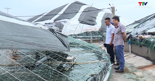 Nuôi tôm ứng dụng công nghệ cao, tăng giá trị nuôi trồng thủy sản