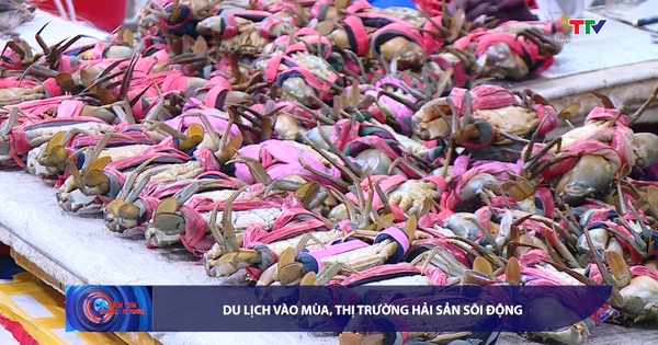 Bản tin Tài chính - Thị trường ngày 11/5/2026