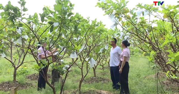 Xây dựng mối liên kết bền vững, mở đường cho tín dụng phát triển